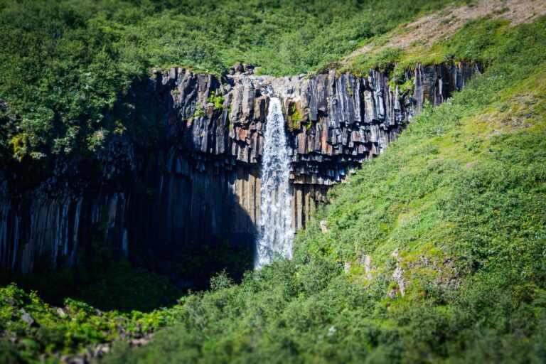 Iwakuni Castle - The Largest Travel Guide in the World